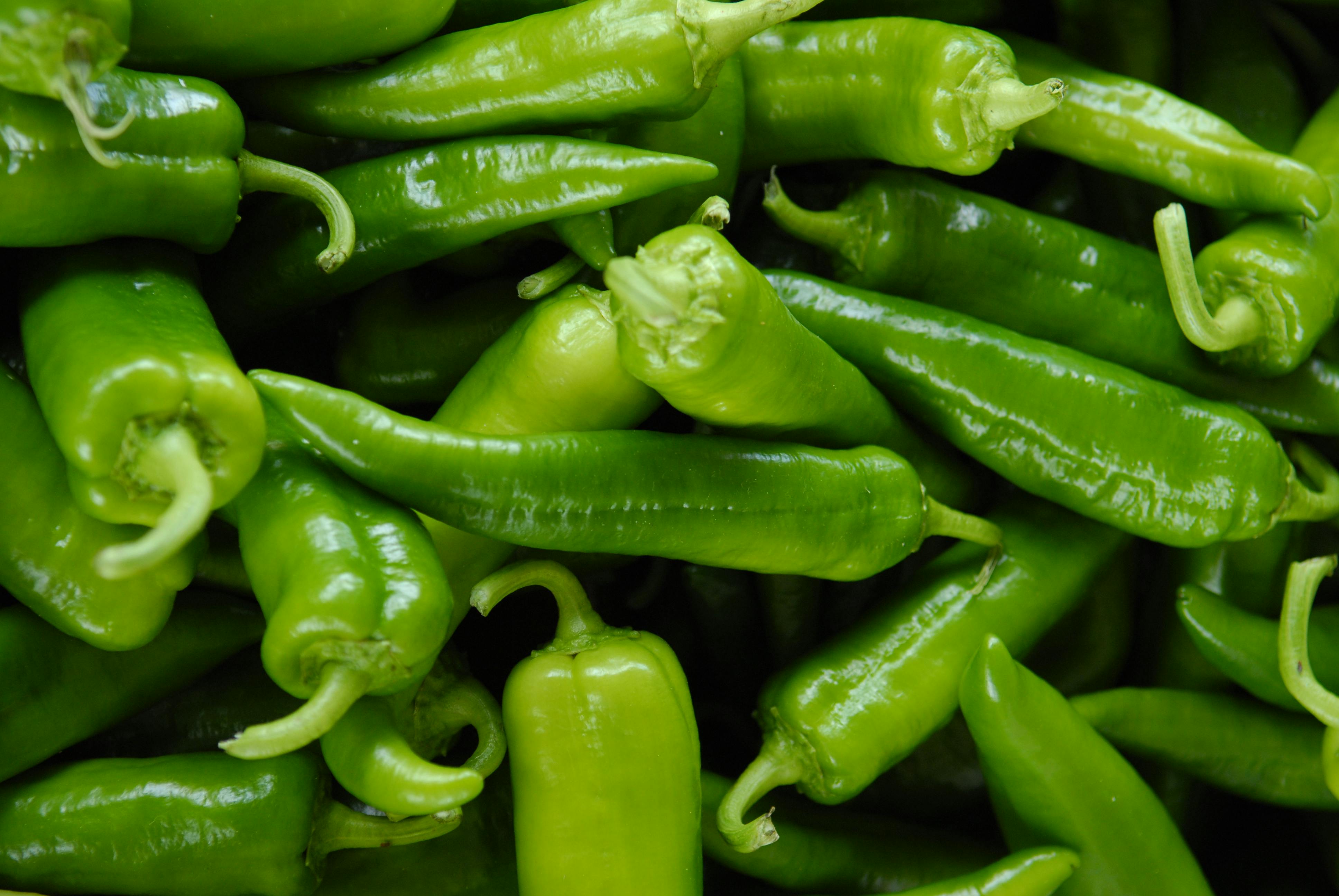 Baklouti Green Chili Olive Oil | Emerald Coast Olive Oil